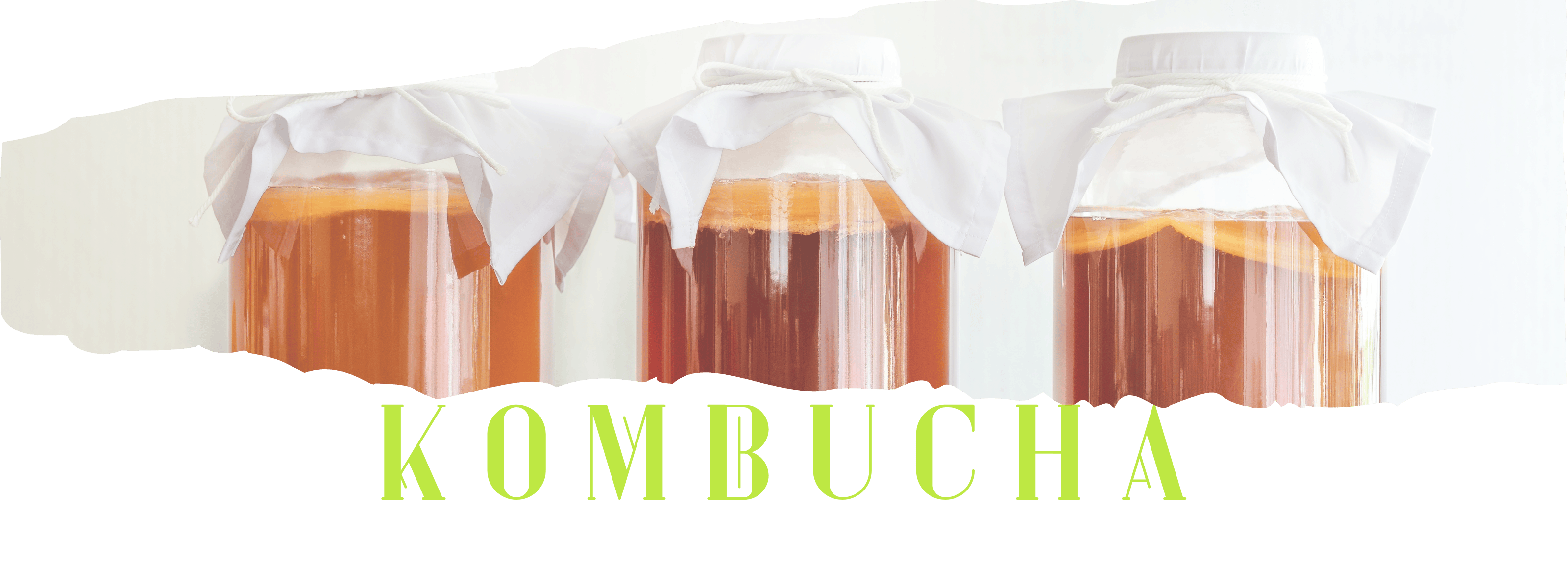 YOLO KOMBUCHA